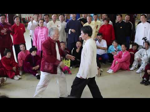 Tai Chi Push Hands for beginners w/ great master Fu Sheng Yaun