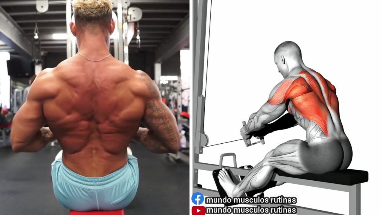 How to grow a big back - effective exercises - YouTube