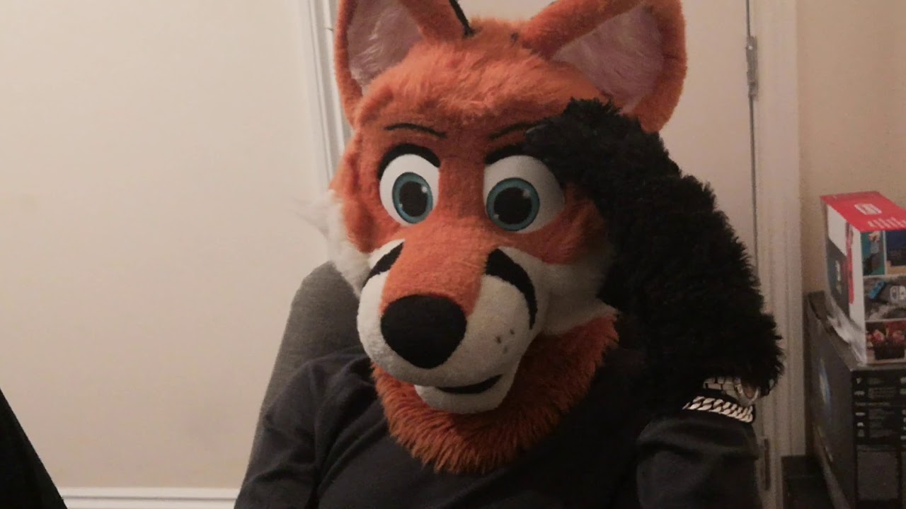 Furry conventions cancelled: Coronavirus - YouTube