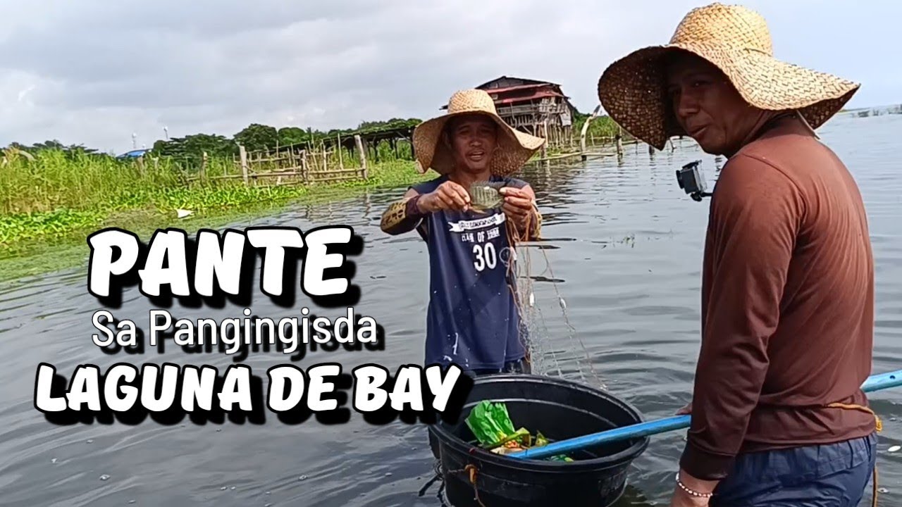 LAGUNA DE BAY | OLD FISHING TRADITION | ARROYO AT TAGALOG TILAPIA SA ...