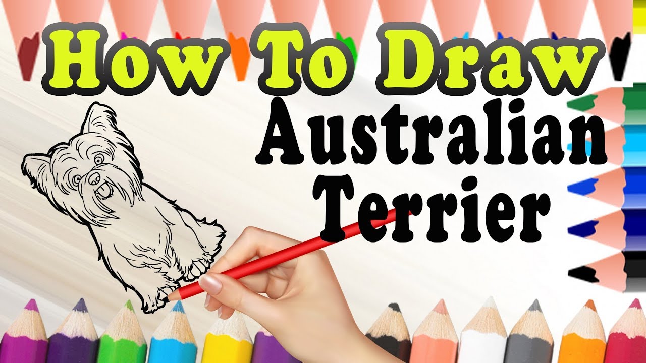 How To Draw A Dog Australian Terrier | Easy dog drawing Tutorial | Draw ...
