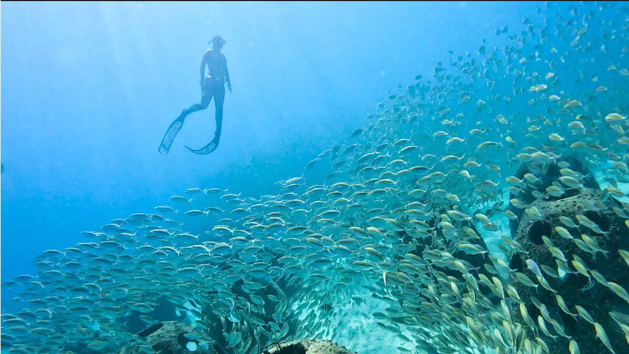 Deep Week Thailand 2024 - YouTube