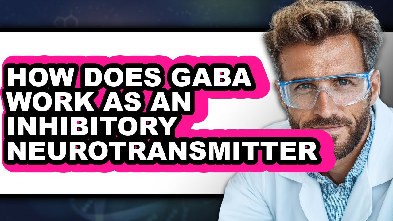 How Does GABA Work as an Inhibitory Neurotransmitter - Explained - YouTube