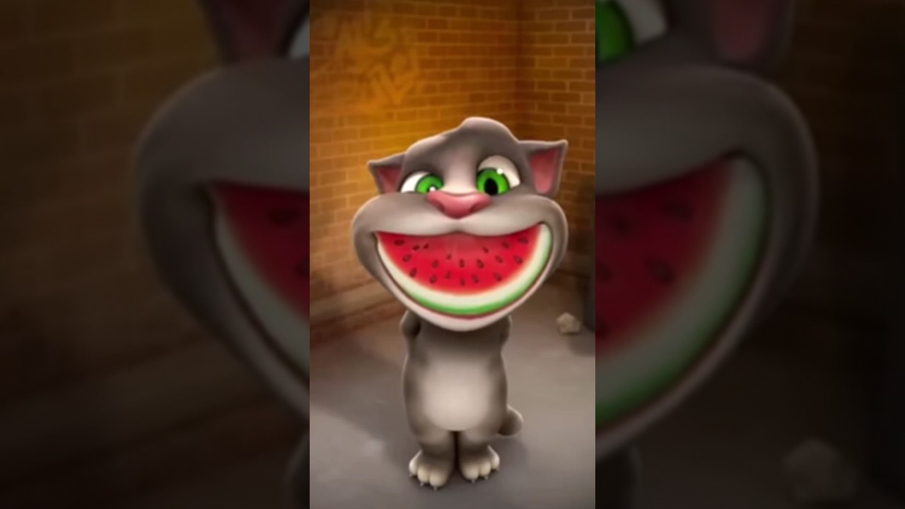 My Talking Tom Cat Funny Fails Tom Poco __ Happy Birthday Tom #shorts # ...