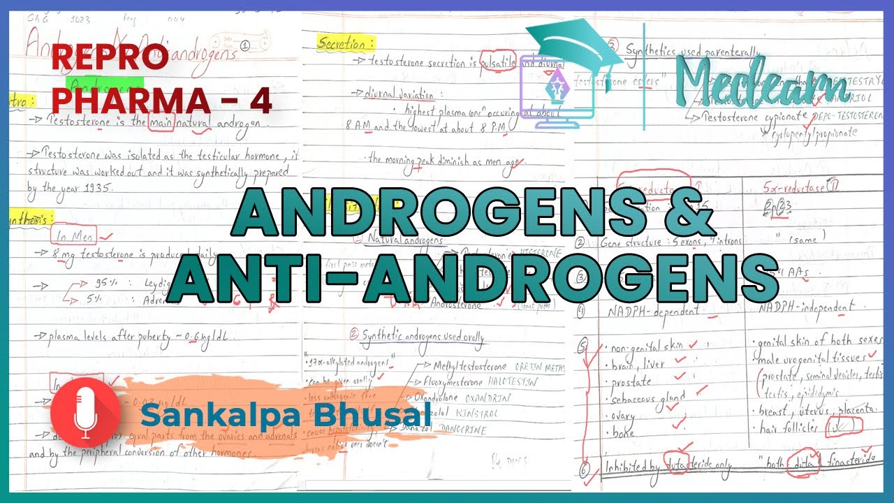 Repro Pharma 4: Androgens & Anti-androgens | Classification, MOA, ADR ...