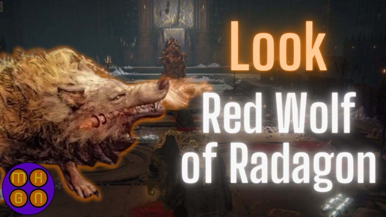 Mindful Look at Red Wolf of Radagon [Elden Ring] - YouTube