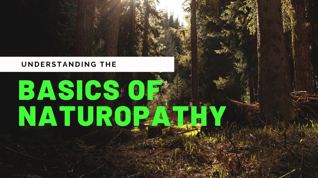 Understanding The Basics Of Naturopathy - YouTube