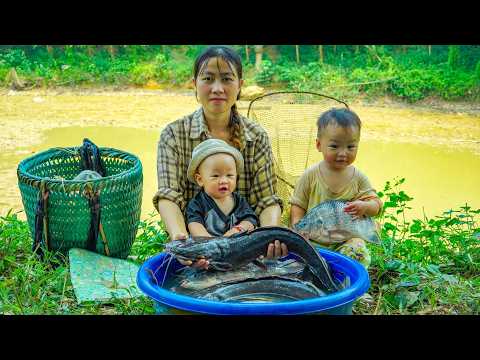 Catching Giant Fish In the Mud of the Deep Jungle And a Farming life Close to Nature.