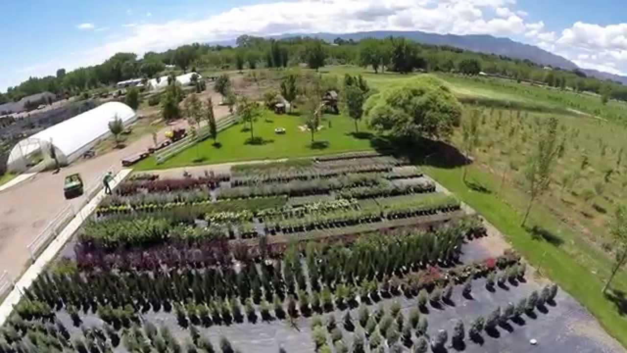 Seufer Tree Farm In Cañon City Aerial Video By Quadcopter - YouTube