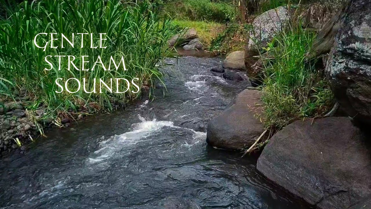 GENTLE STREAM SOUNDS, RELAXING STREAM SOUNDS USE FOR RELAXATION, WHITE ...