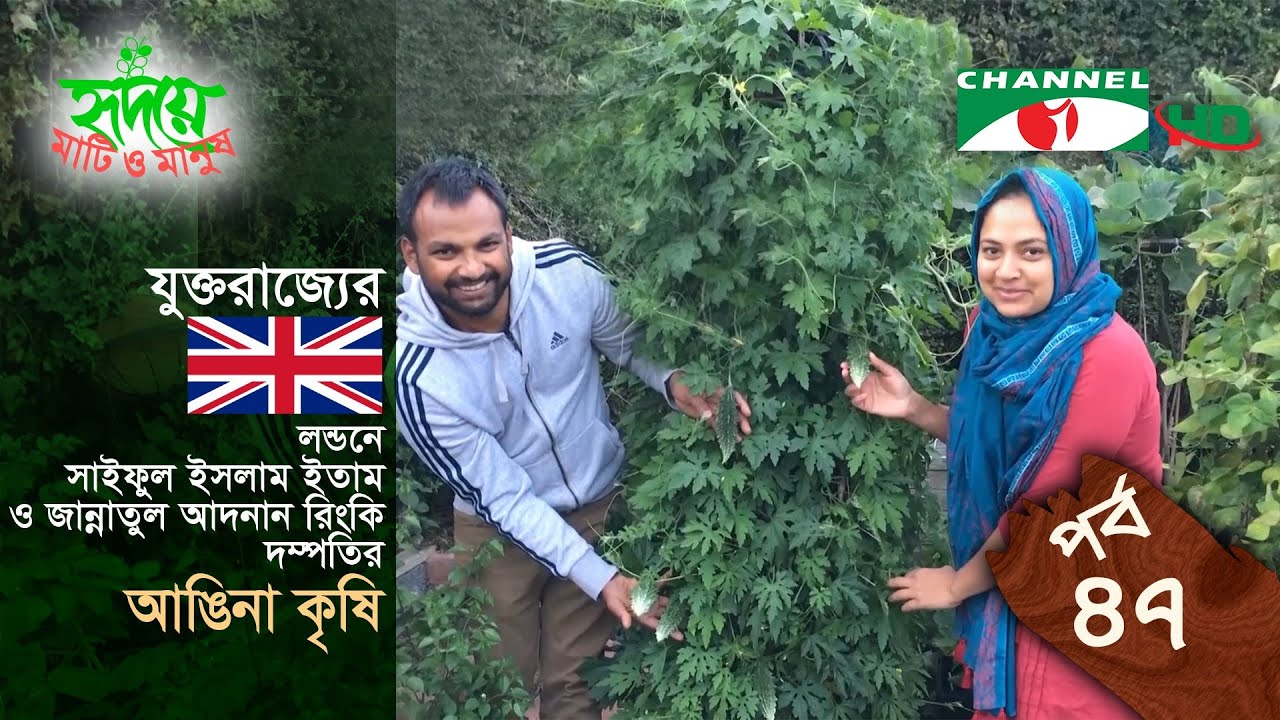 লন্ডনে সাইফুর রহমান ইতাম ও জান্নাতুল আদনান রিংকি দম্পতির আঙিনা কৃষি ...