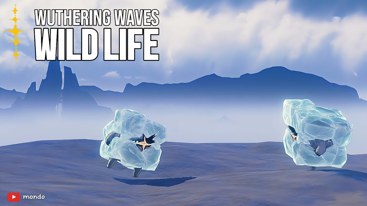 TDs Wildlife Documentary | Clang Bang | Wuthering Waves - YouTube