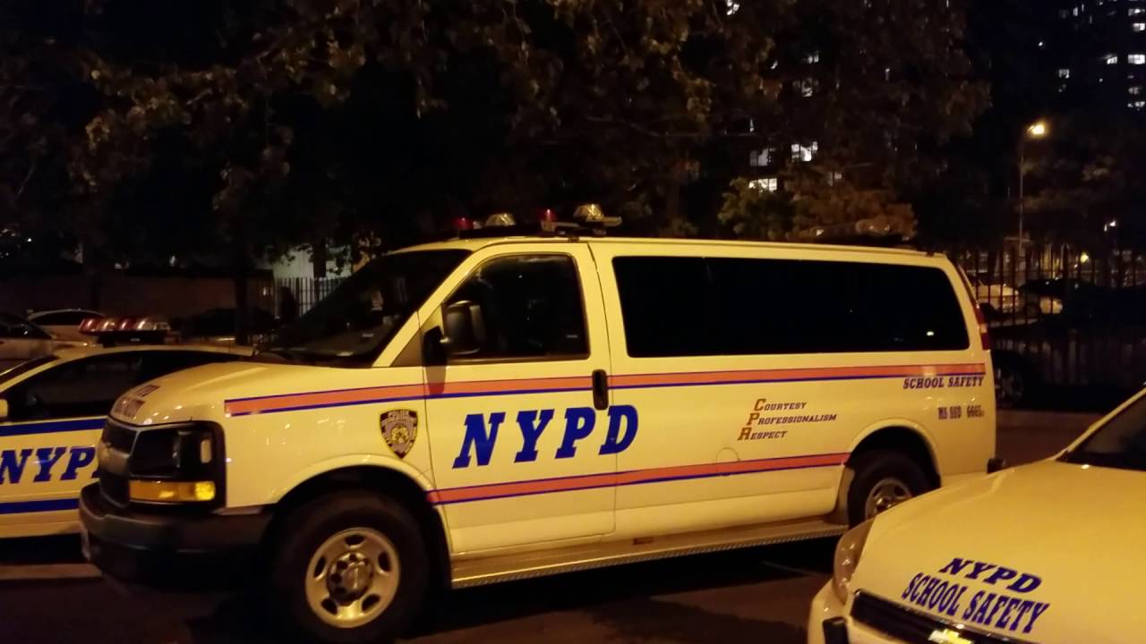 NYPD School Safety Division Sporting Two Thin Pink Lines For Breast ...