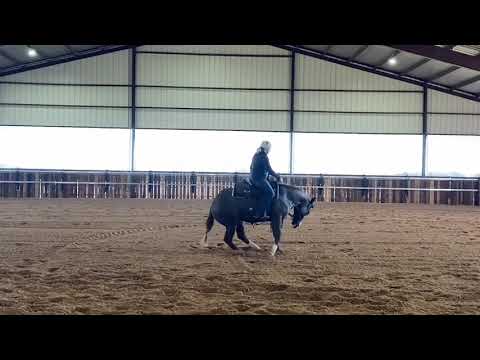 3 yo Dual Smart Rey gelding - YouTube