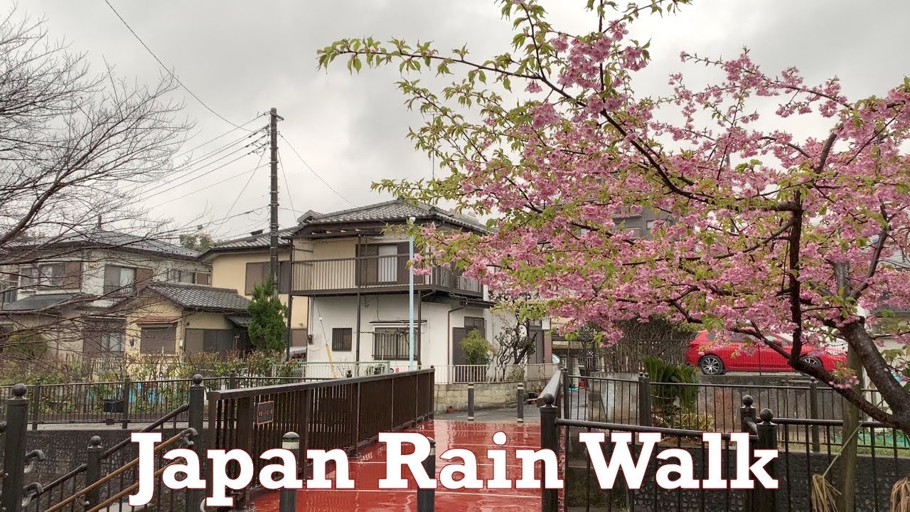 Japan Afternoon Rain Walk 2022.03.18 Ambience Sound Sleep Meditate ...