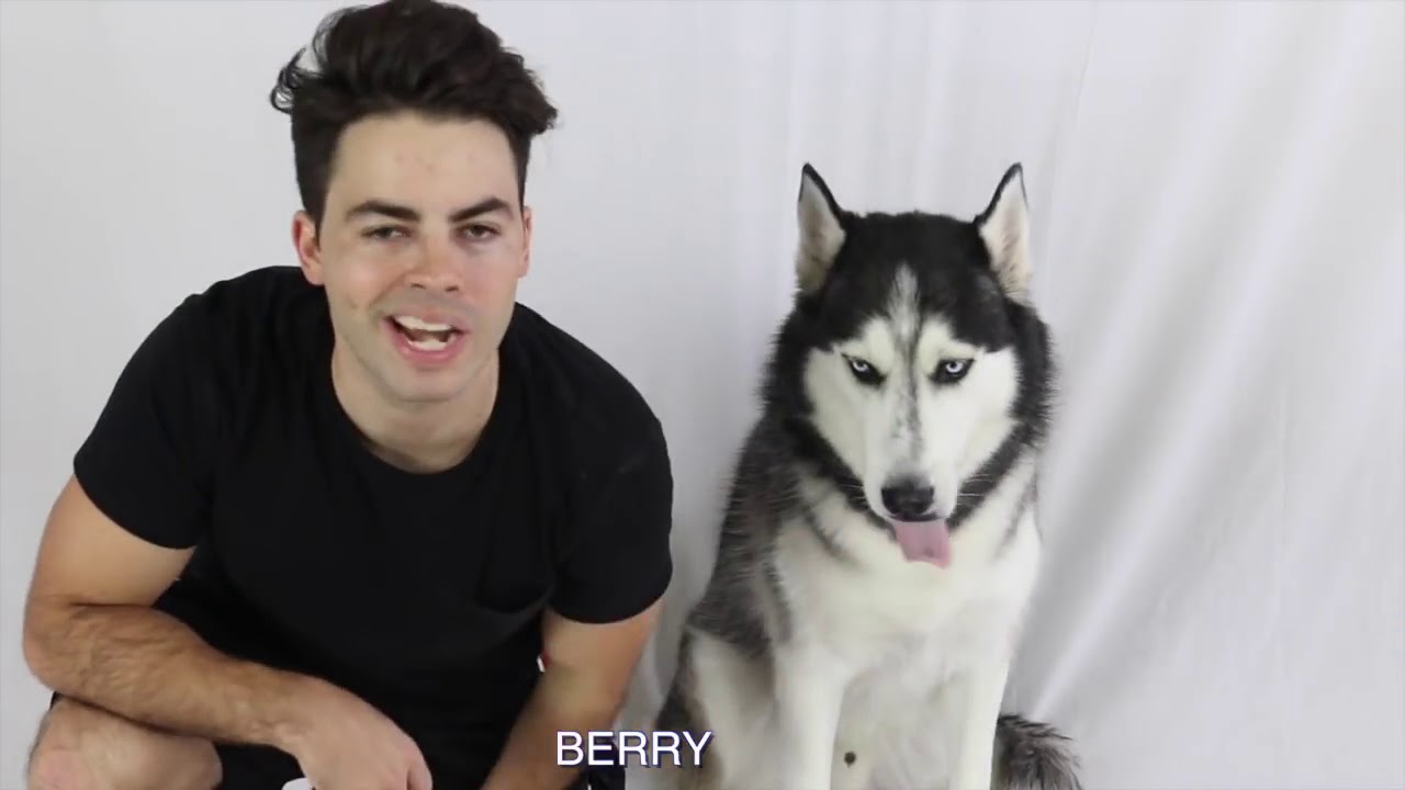 HUSKY RAP SONG! (Очень клевый клип) - YouTube