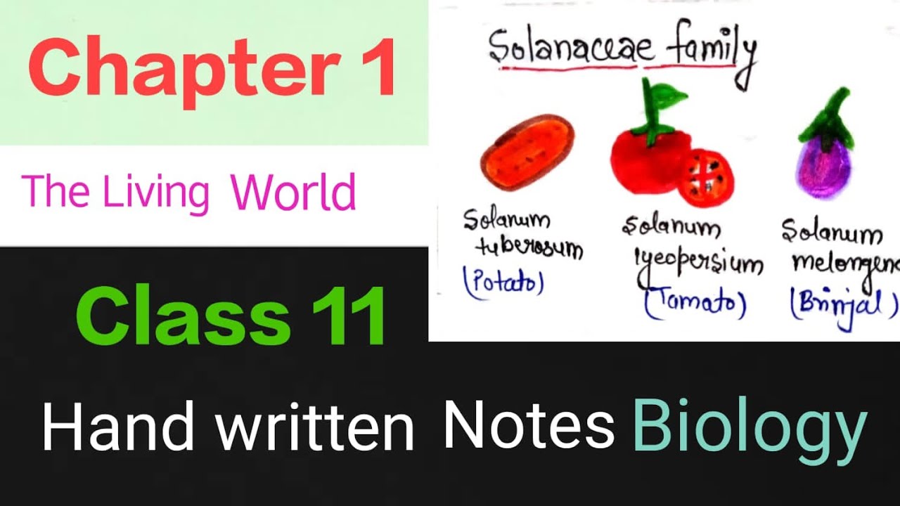 Class 11 biology chapter 1 The Living World Notes - YouTube