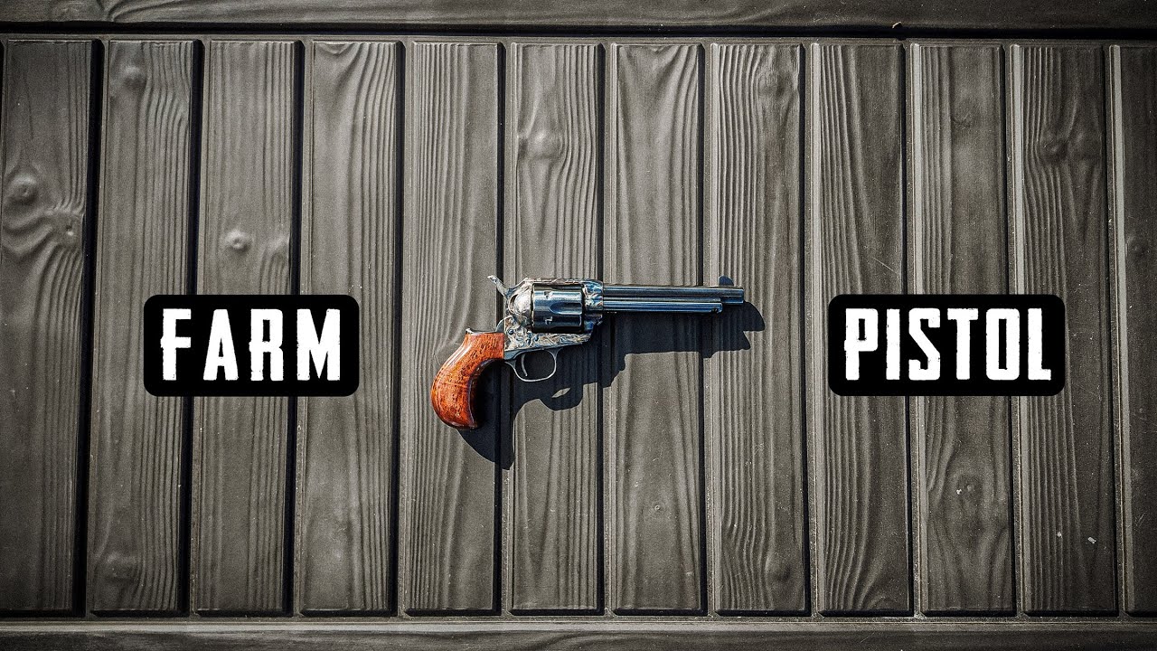 The Best FARM GUN to Keep on Your Hip out on the Homestead! - YouTube