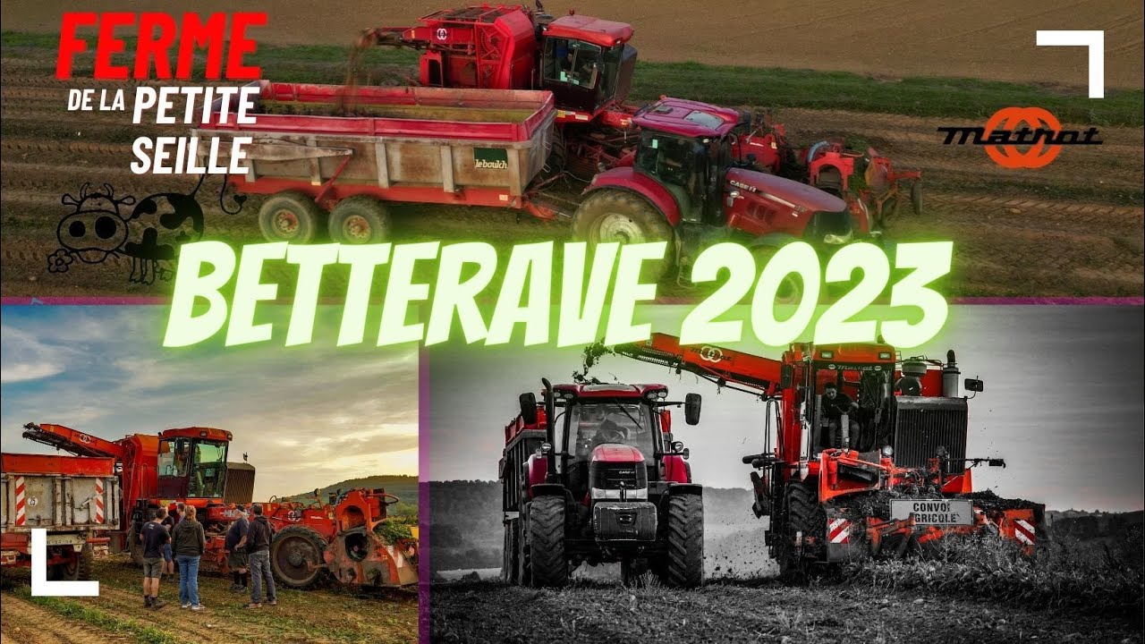 Récolte Betterave 2023 / Matrot M41H / Ferme de la petite Seille/ - YouTube