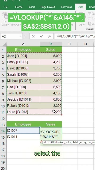 Excel VLOOKUP with Wildcards: How to Do Partial Match Searches Easily - YouTube