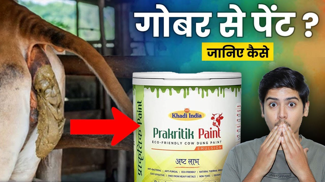 गोबर से पेंट बन रहा है? जानिए कैसे | India's First Eco Friendly Cow ...
