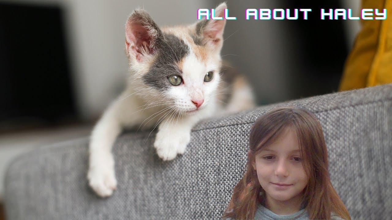 Haley - YouTube