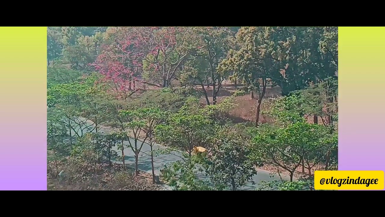 ranchi_the_heart_of_jharkhand, #ranchi #khelgaon#nature#greenerynature ...