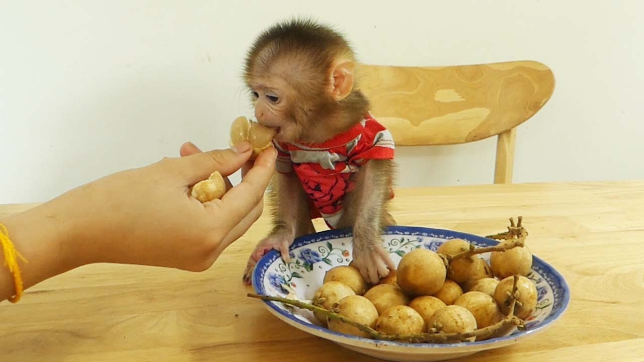 Mom So Surprise To See Shusy Can Eat Everything, Mom So Much Love ...