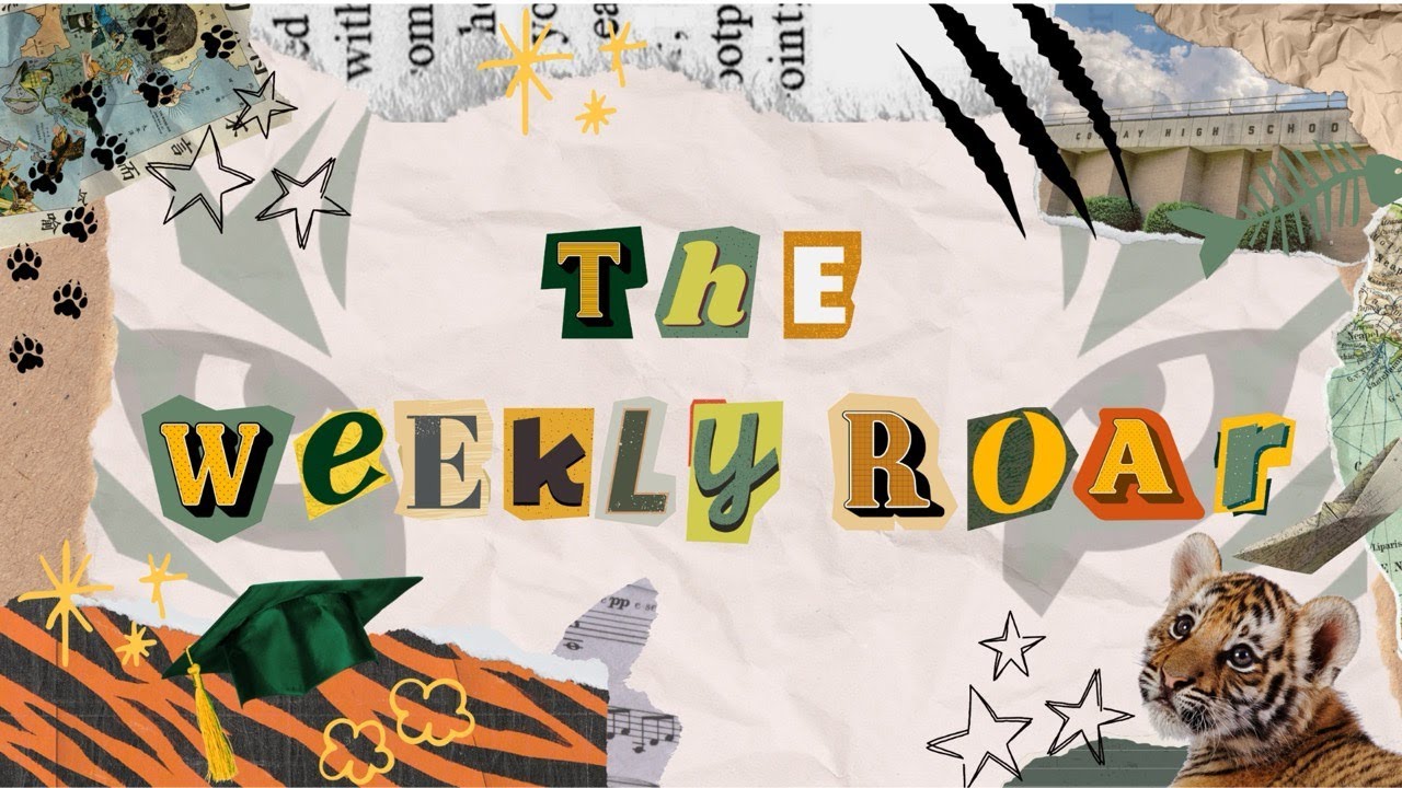 Weekly Roar 13 17 May - YouTube