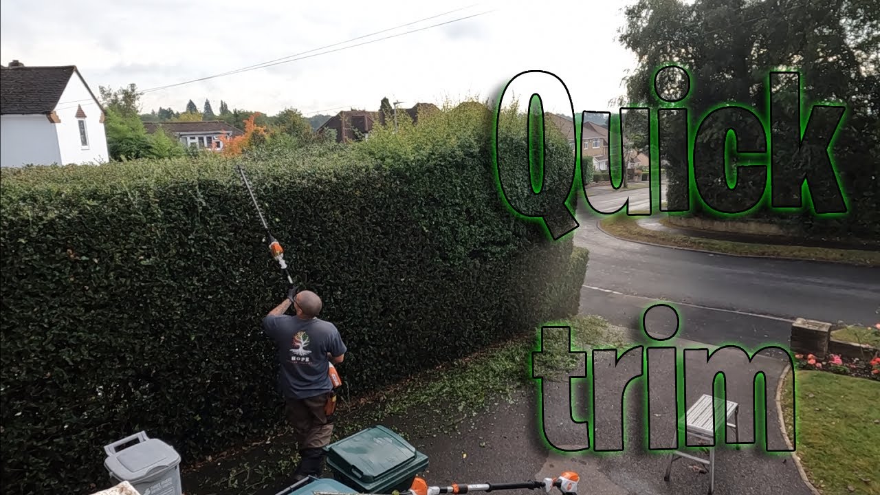 Trimming This MESSY Hedge That GROWS Crazy - YouTube