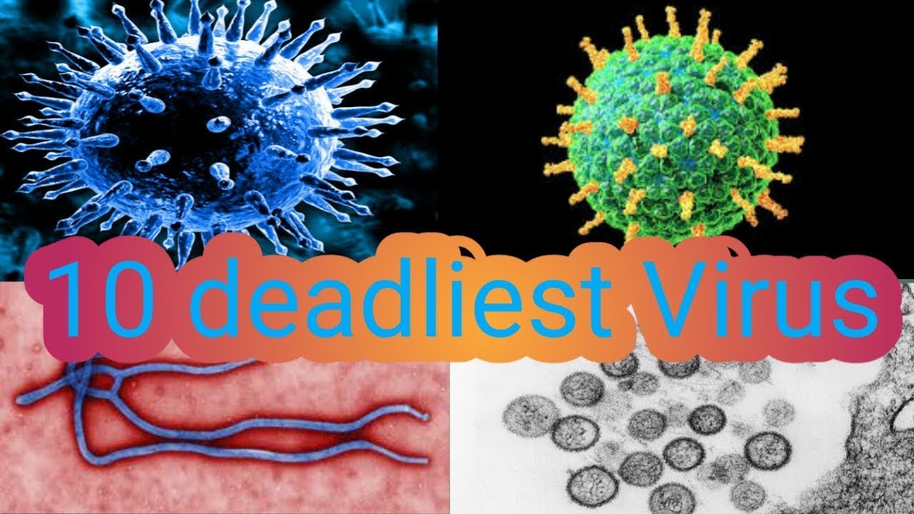 10 deadliest Viruses in the World so farll Lockdown Series 02 - YouTube