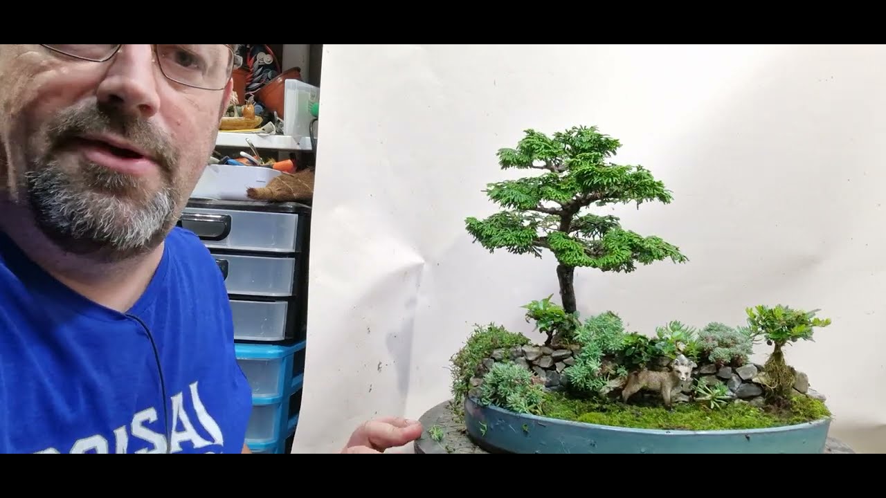 Working on my old stone wall penjing - YouTube