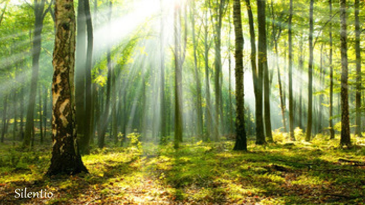 Unbelievable Sleep Tip - Listen to THIS for a Quick Snooze! - YouTube