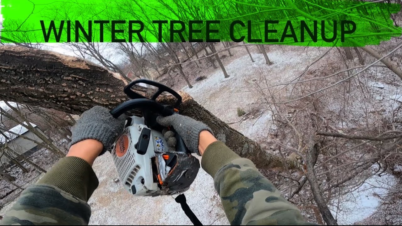 3 day tree cleanup! Climbing trees, cutting fallen trees, new Stihl 271 ...
