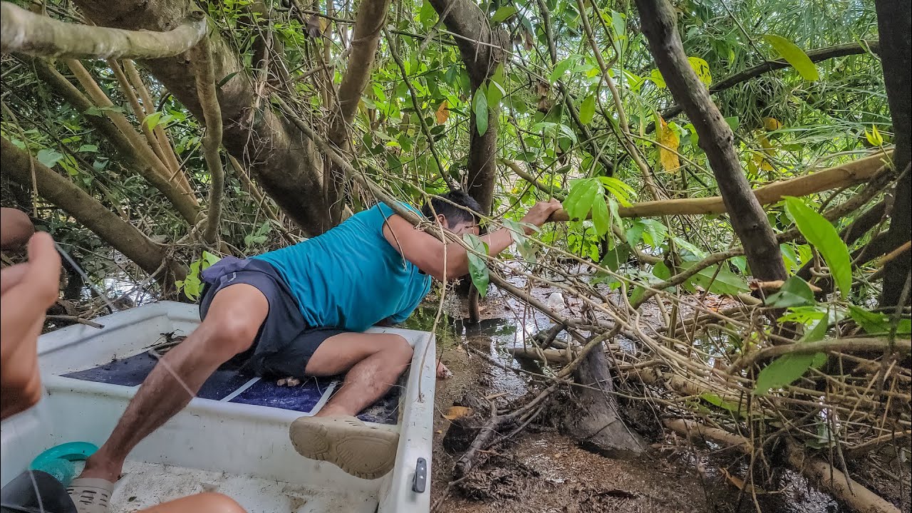 Pescando en un rio lleno de GUAPOTES e IGUANAS Pesca y Cocina - YouTube