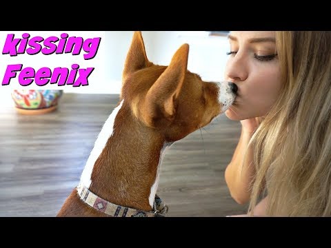 My Dog Kissing Me for 1 Minute Straight