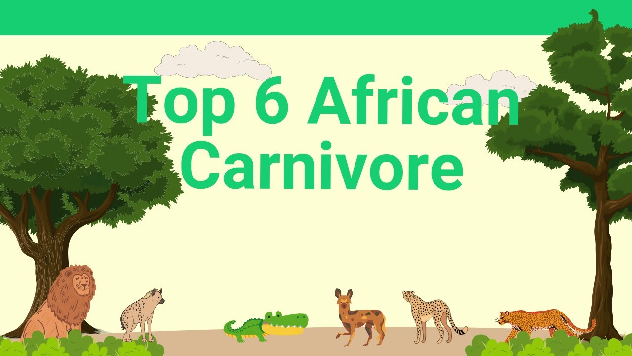 Africa's Fierce Six: Top Carnivores! - YouTube