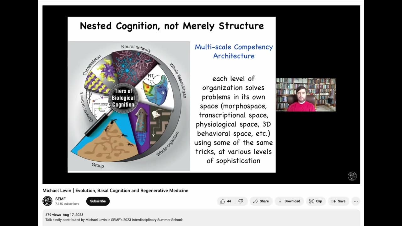 Clip: Michael Levin - Agent Competencies and Nested Problem Solving Spaces - YouTube