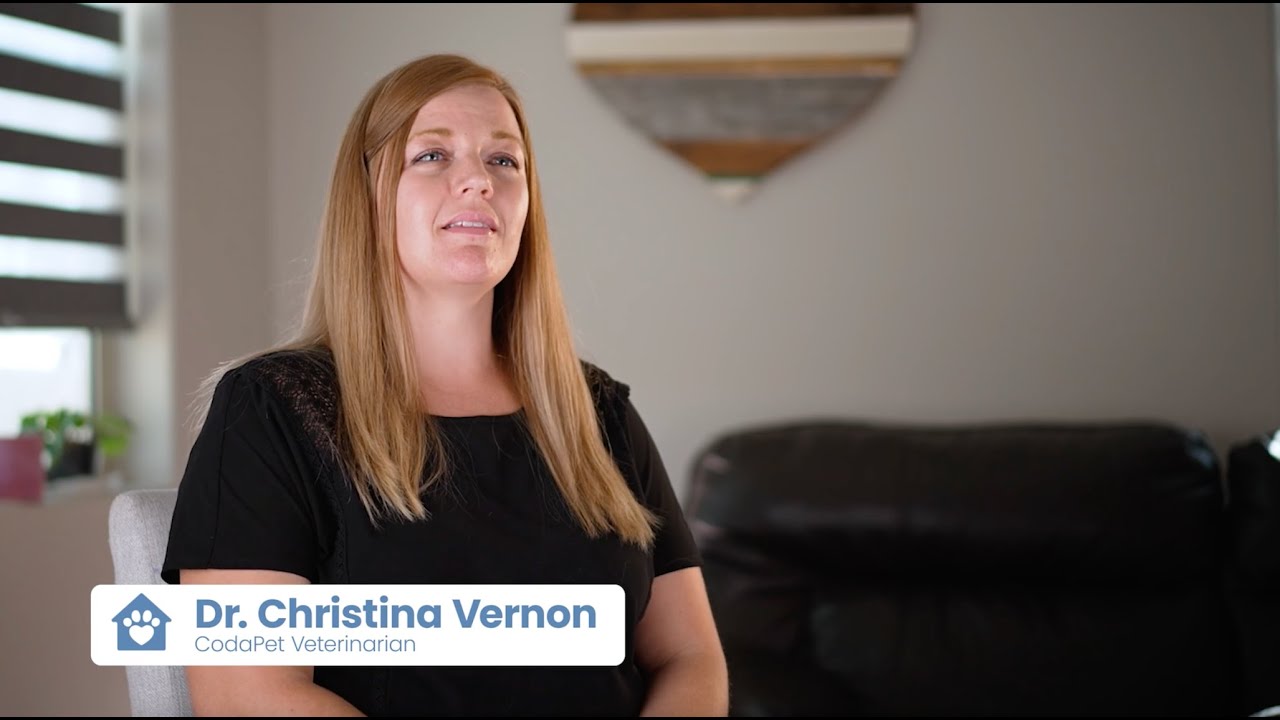 Who can be present during the pet euthanasia process? - YouTube