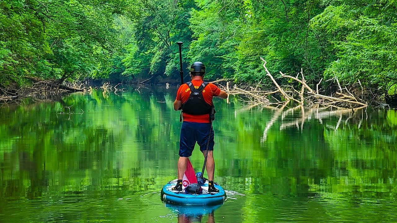 Blackwater Creek Stand up Paddle Run #river #paddleboard - YouTube