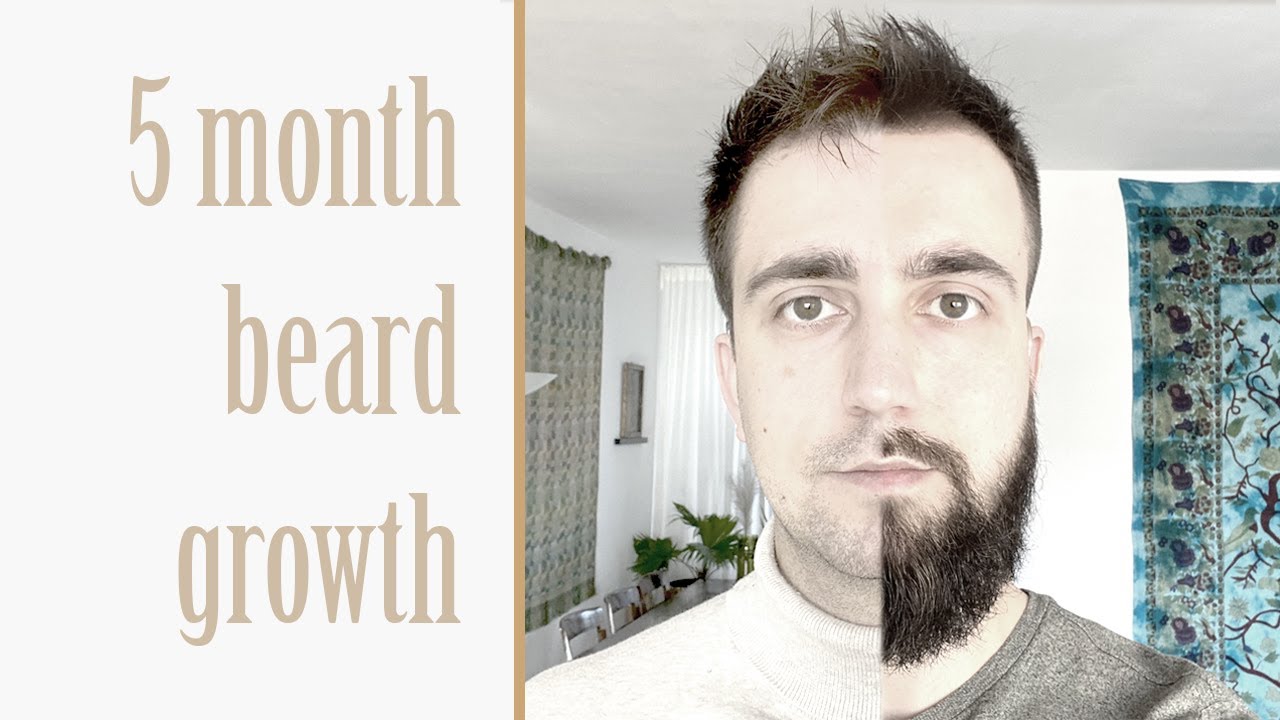 5 month beard growth | Time Lapse | Beardlapse | Covid beard - YouTube