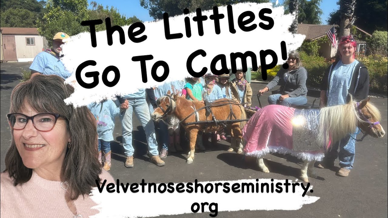 The Littles Go To Camp! - YouTube