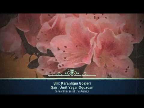 Ümit Yaşar Oğuzcan - Karanlığın Gözleri