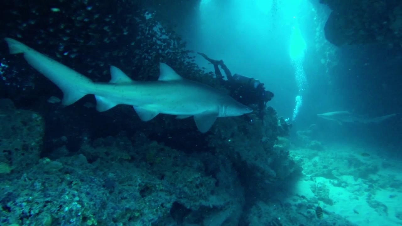 Rottnest Opera House with PDA 24 Oct 2016 - YouTube