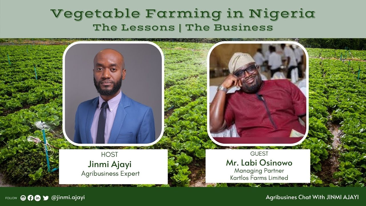 EP 1: Agribusiness Chat with Jinmi Ajayi - VEGETABLE FARMING IN NIGERIA ...