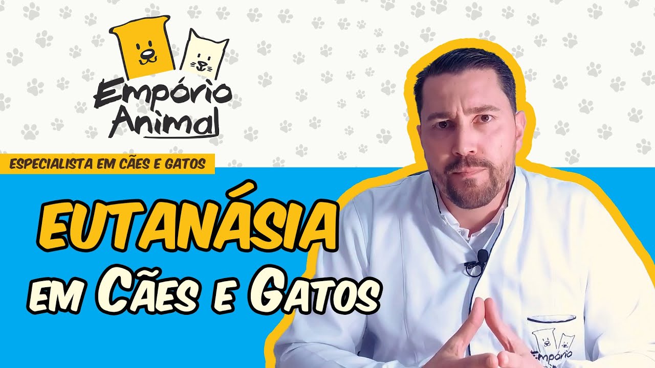 Quando fazer eutanásia em cães e gatos - YouTube