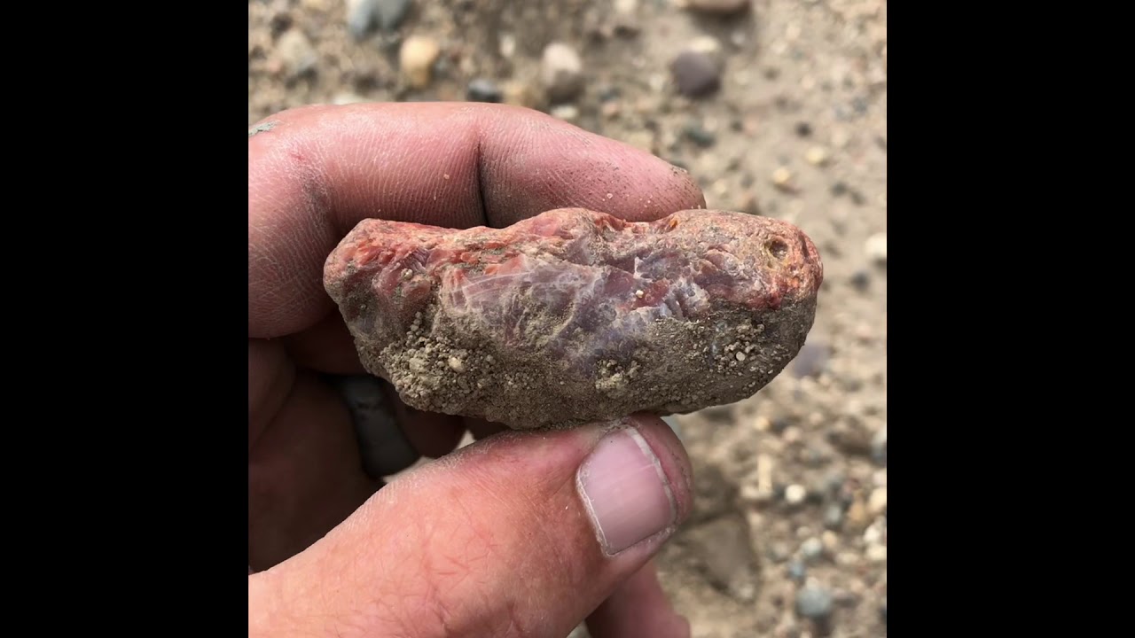 Lake Superior Agate Hunting MN 2019 - YouTube