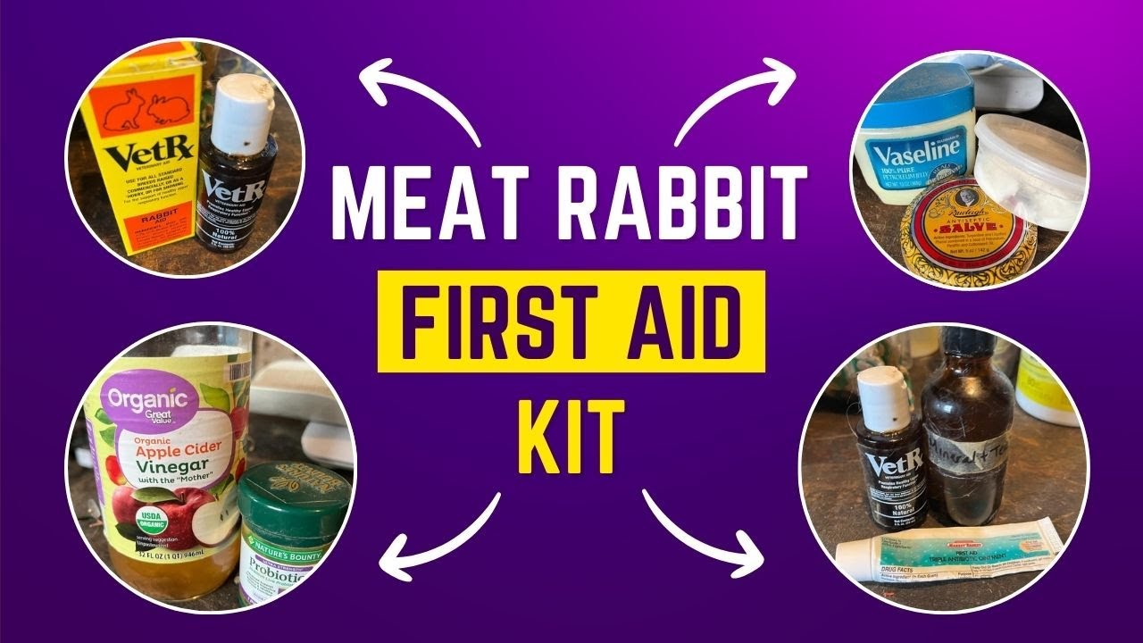 A Good, Basic (Inexpensive) Meat Rabbit First Aid Kit - YouTube