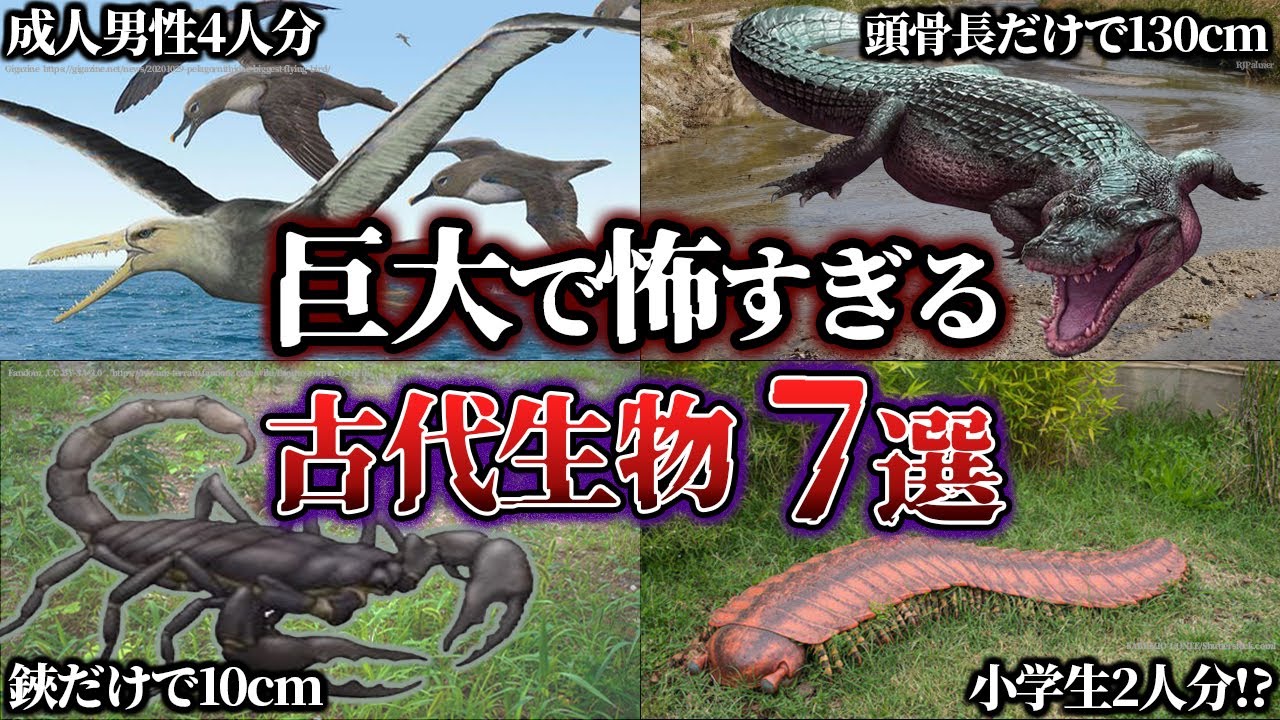 【ゆっくり解説】恐ろしすぎる!生きていなくて良かった巨大な古代生物7選 Youtube