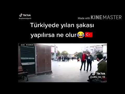 Türkiye'de yılan şakası yapılırsa ne olur izleyin ve görün